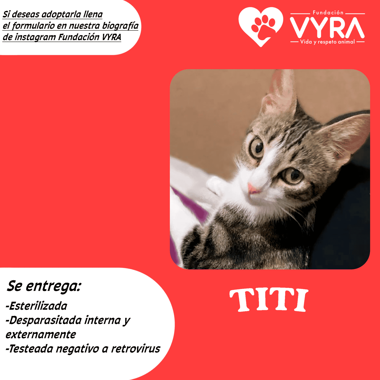 Busca🐶Patitas | Encuentra tu PARTNER